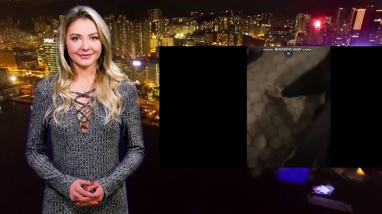 02/11/2020: Le youtubeur Bassem Braiki violemment frappé - YouTube