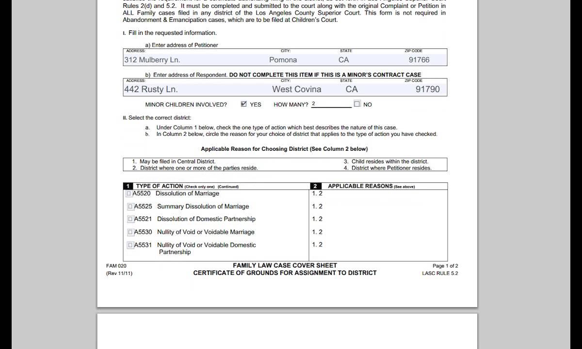Family Law Case Coversheet (Paternity) - YouTube