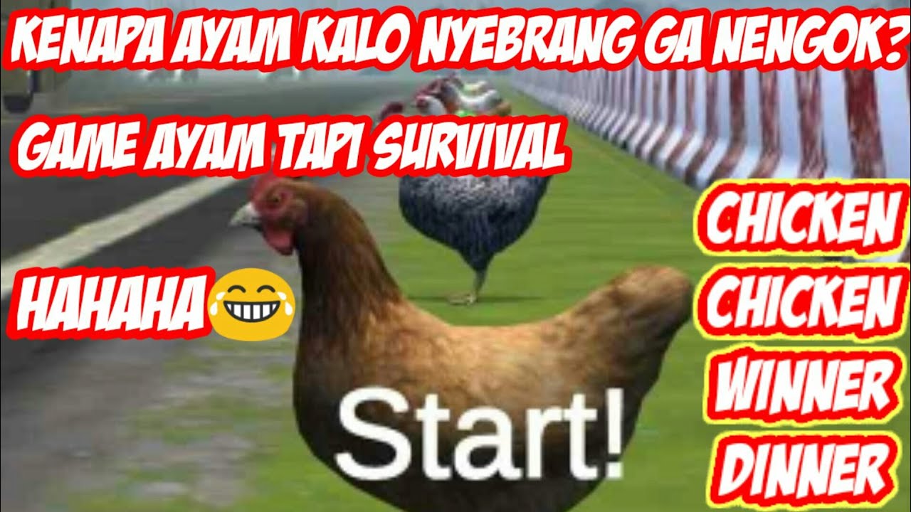 INI GAME APA SIH AYAM NYEBRANG😂 || CHICKEN SIMULATOR Crossy road - YouTube