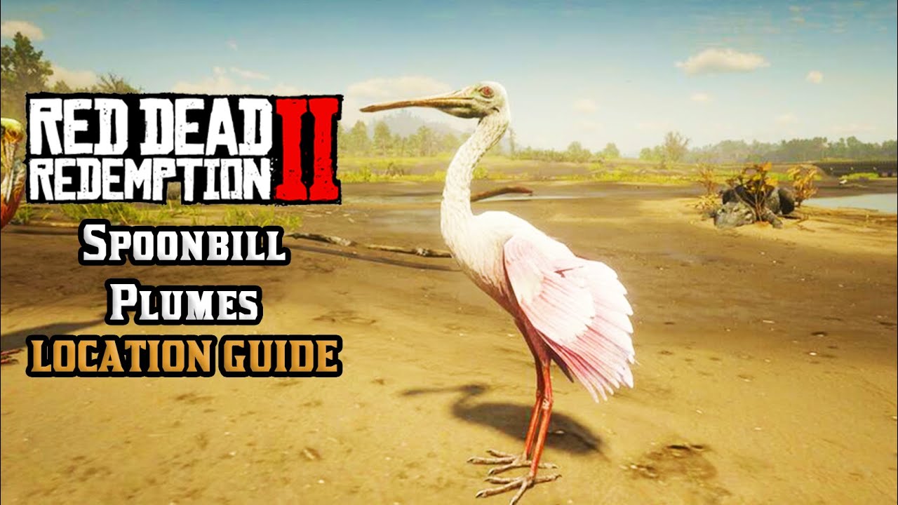Spoonbill Plumes - Location Guide | Red Dead Redemption 2 - YouTube