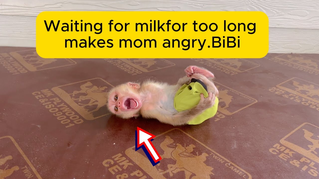 Waiting for milkfor too long makes mom angry.bibi - YouTube