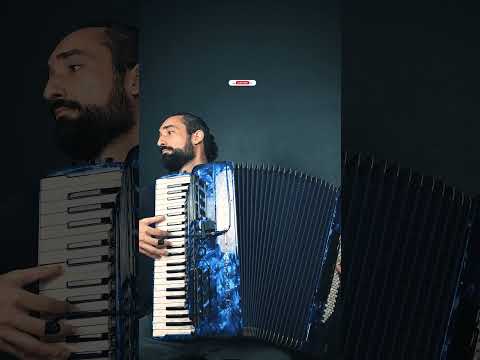 Waves of the Danube #music #accordionplayer #piano #accordion #soloist #accordionist