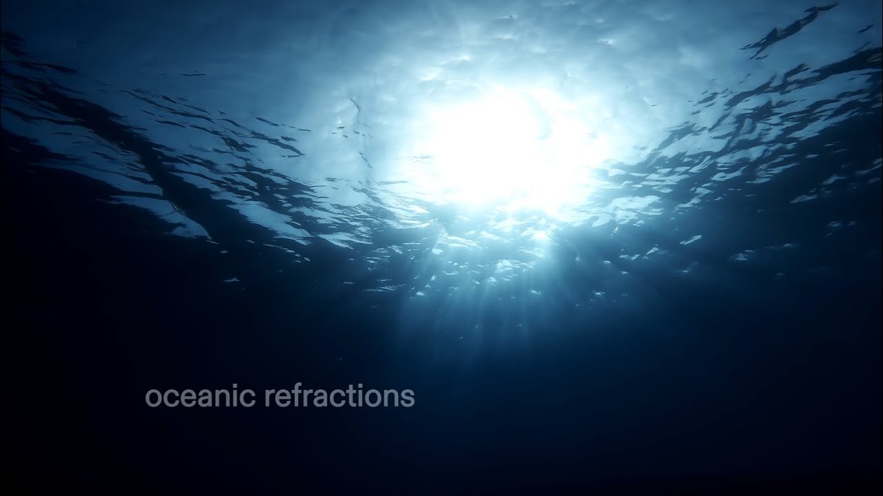 Oceanic Refractions | CTM x transmediale 2024 - Screenberry-powered multi-sensory experience ...