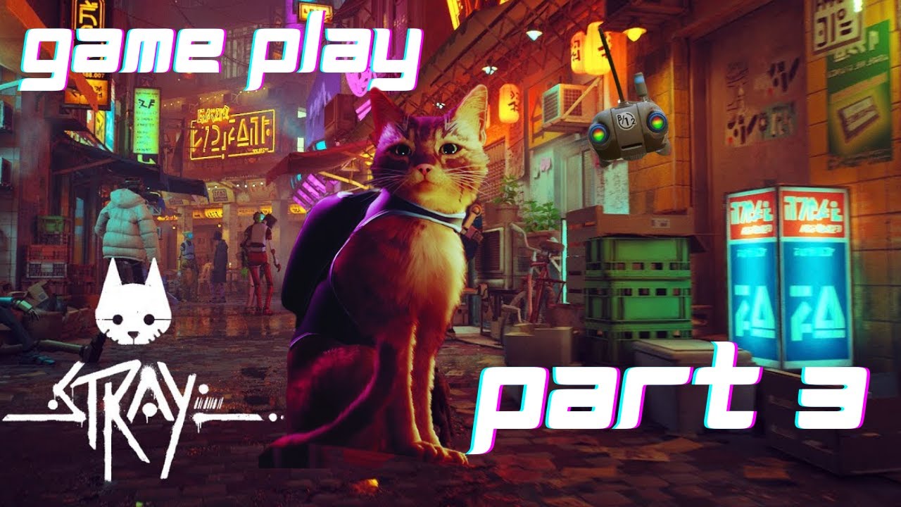 STRAY CAT VS BUGS??? - YouTube