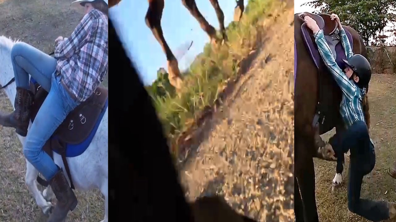 Heaps Of Horse Fails Part 3-HORSE FAILS - YouTube
