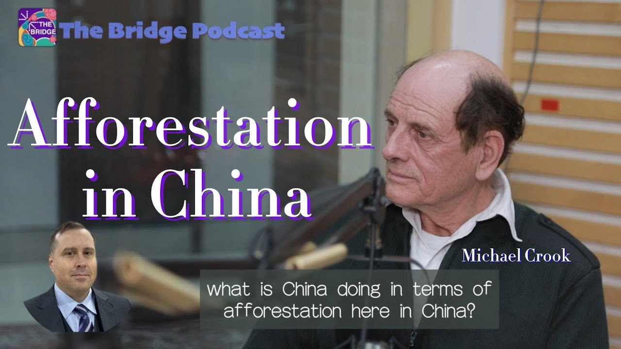 Afforestation in China with Professor Michael Crook - YouTube