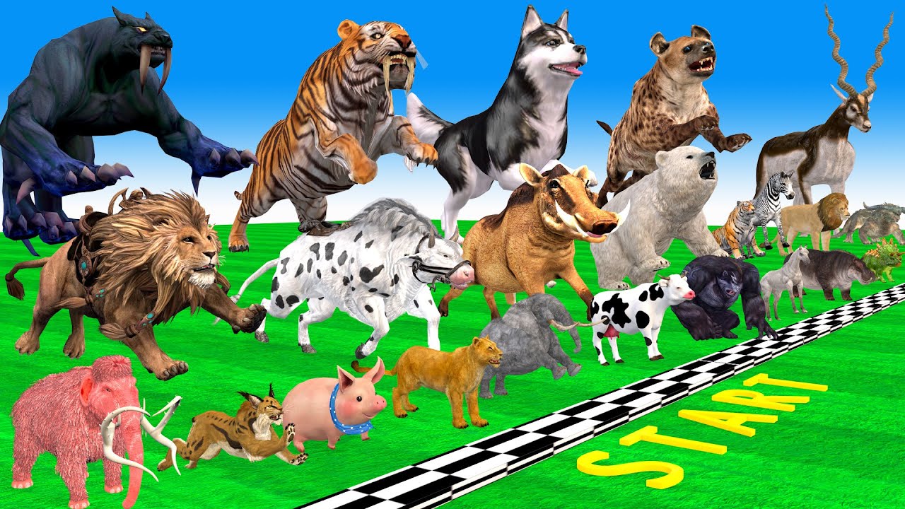 49 Incredible Animals Race vs Dinosaurs vs Prehistoric Mammals Speed ...