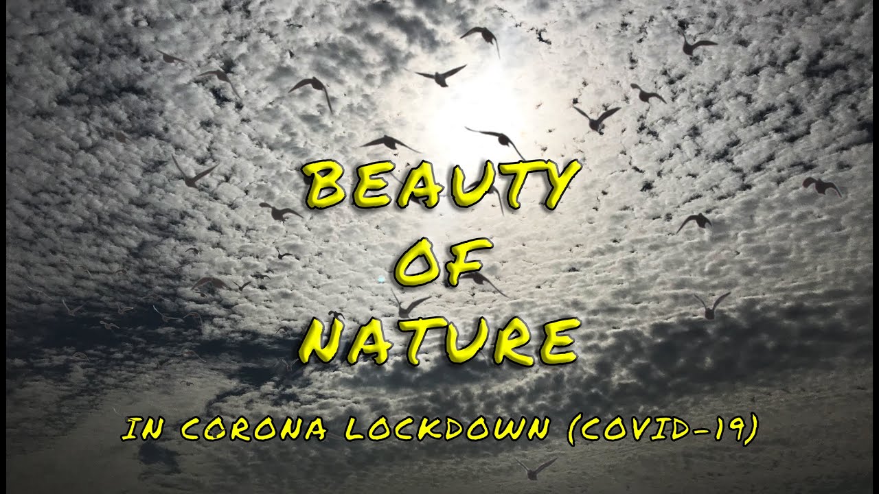 BEAUTY OF NATURE IN COVID-19 LOCKDOWN | GORAKHPUR - YouTube
