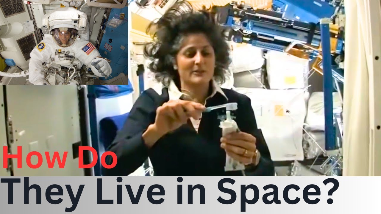 Life of Astronauts in Space | Inside the ISS - Kitchen, Rooms, The ...