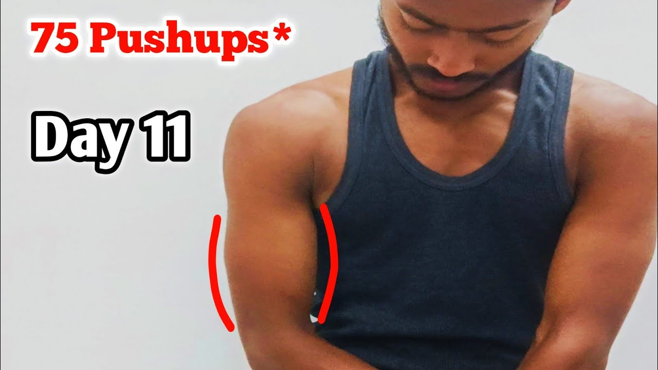 Day 11 ~ 75 Pushups Completed | Everyday Pushups 💪💪 || - YouTube