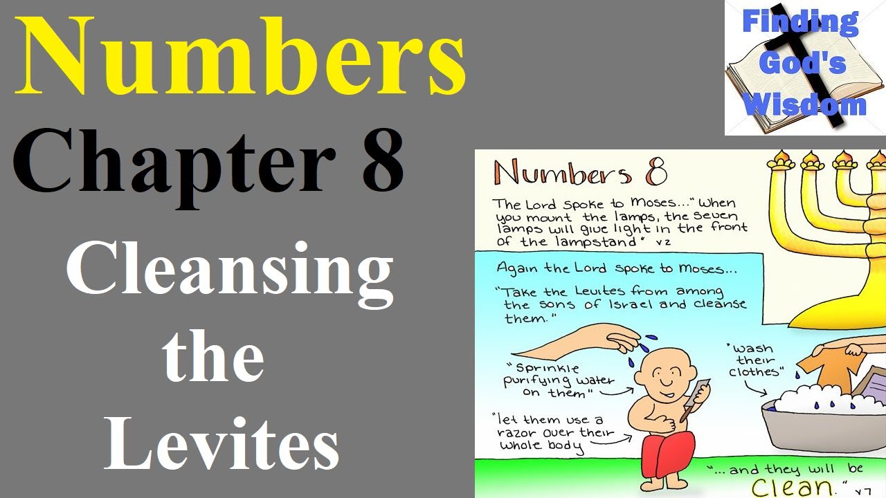 Numbers - Chapter 8 - Cleansing the Levites - YouTube