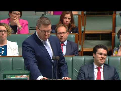 PAT CONROY MP - PARLIAMENT OF AUSTRALIA - MATTER OF PUBLIC IMPORTANCE ...