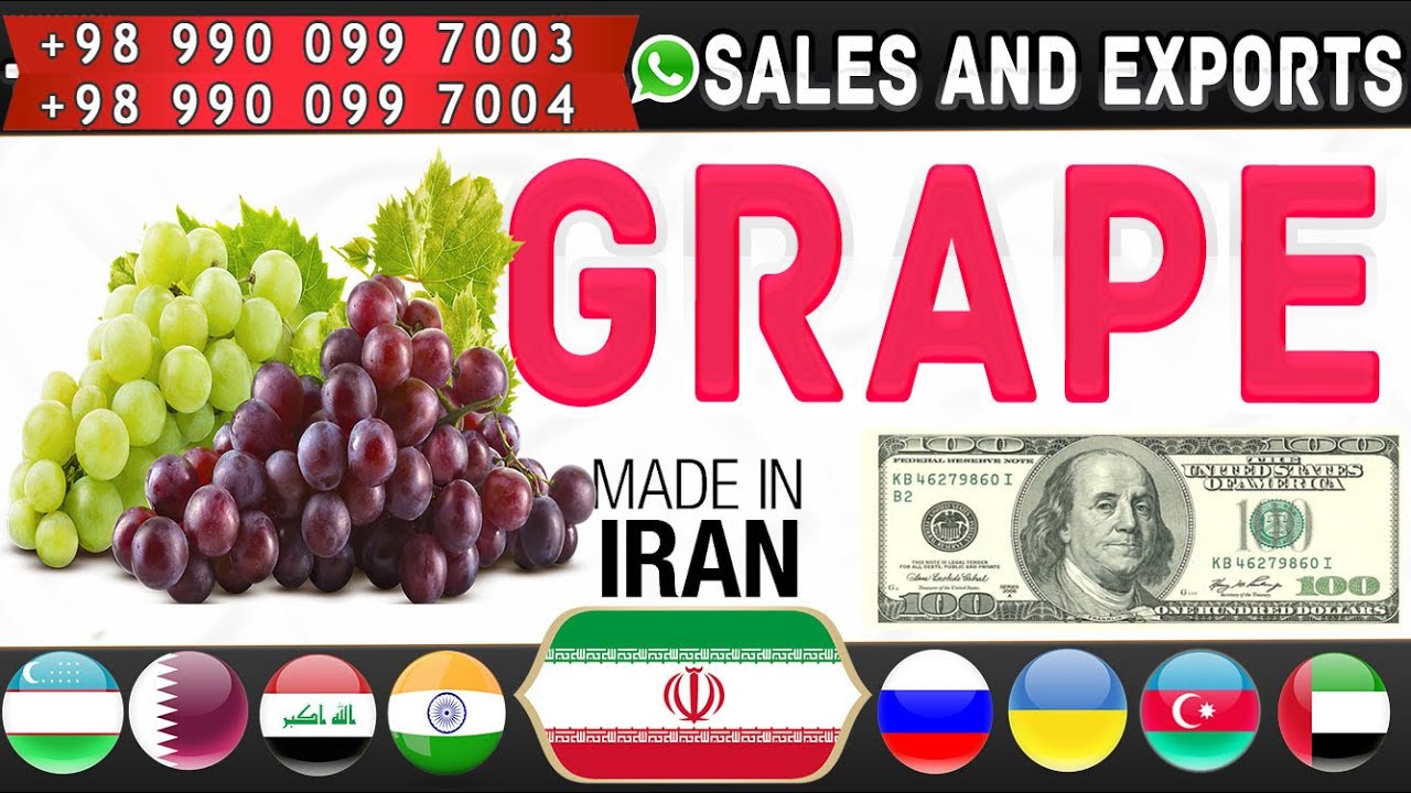 Iranian grapes: Buy Iranian grapes for export to all parts of the world - YouTube
