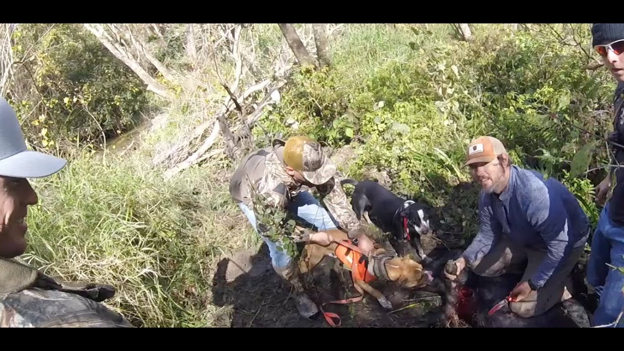 Rough Country Swamp Hog Hunt - YouTube