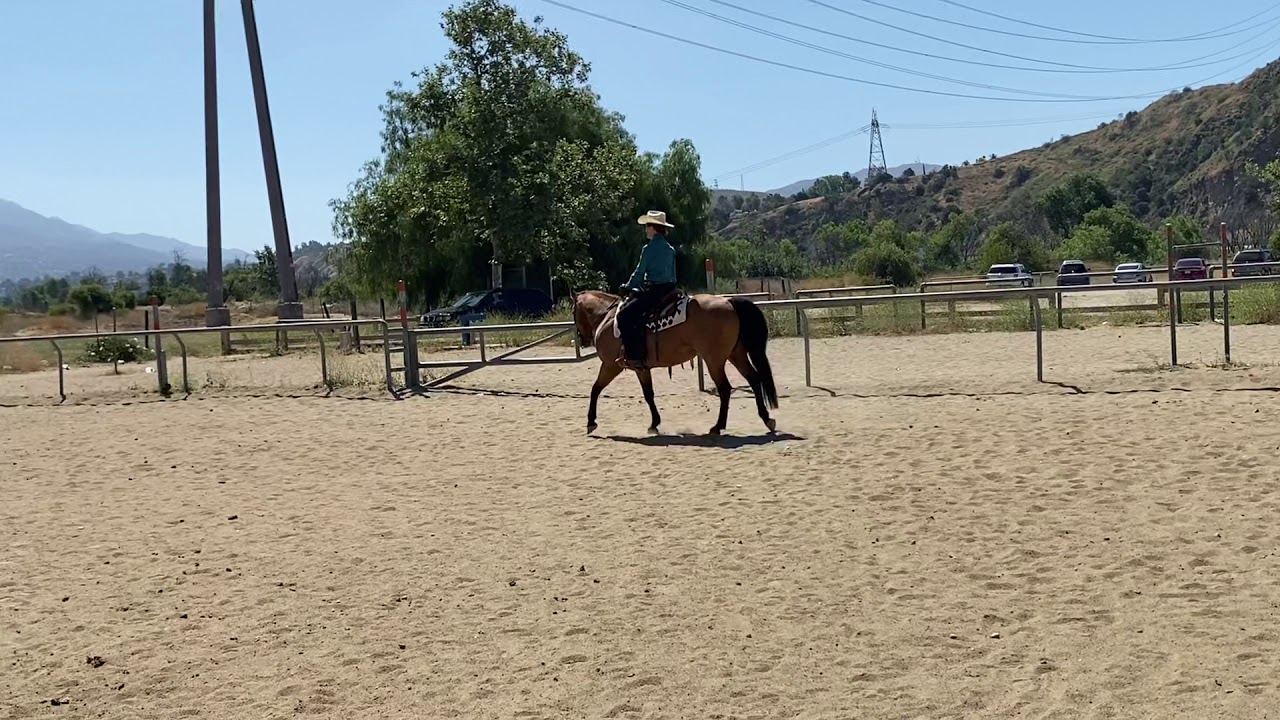 Ranch riding a - YouTube