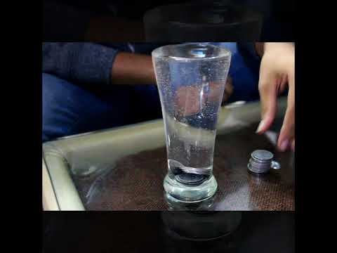 Cohesion and adhesion and surface tension cool experiments to do at ...