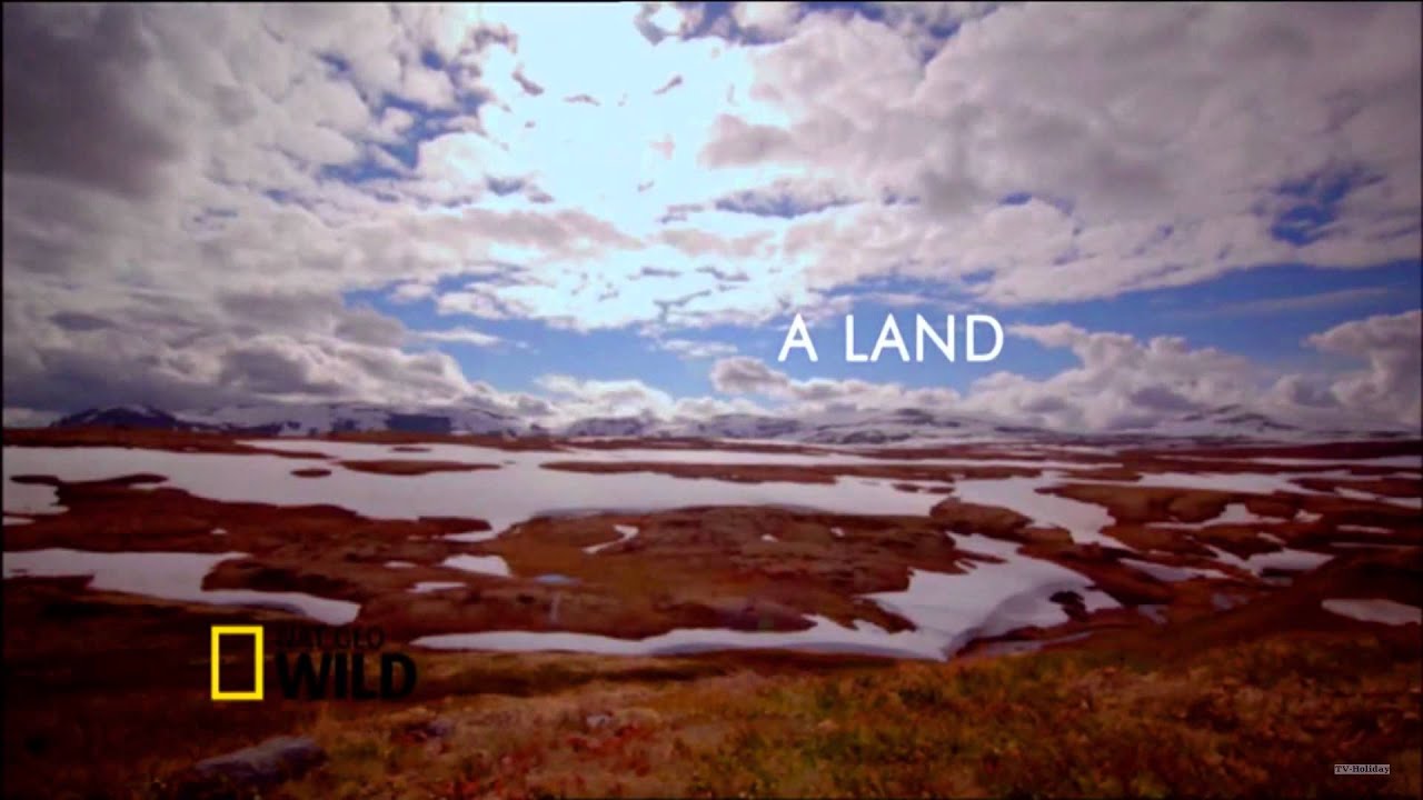 NatGeo Wild HD UK - Nordic Wild Promo 1080p November 2011 - YouTube