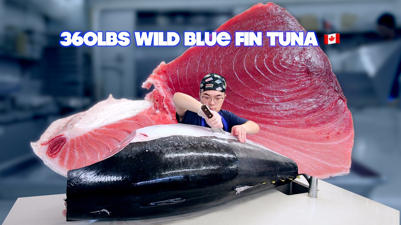 Butcher 360 Pound Wild Blue Fin Tuna, P.E.I. 🇨🇦 ~ OROSHI FISH - YouTube
