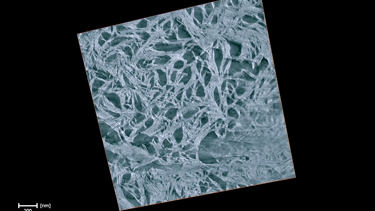 Revealing the remarkable nanostructure of human bone (2) - YouTube