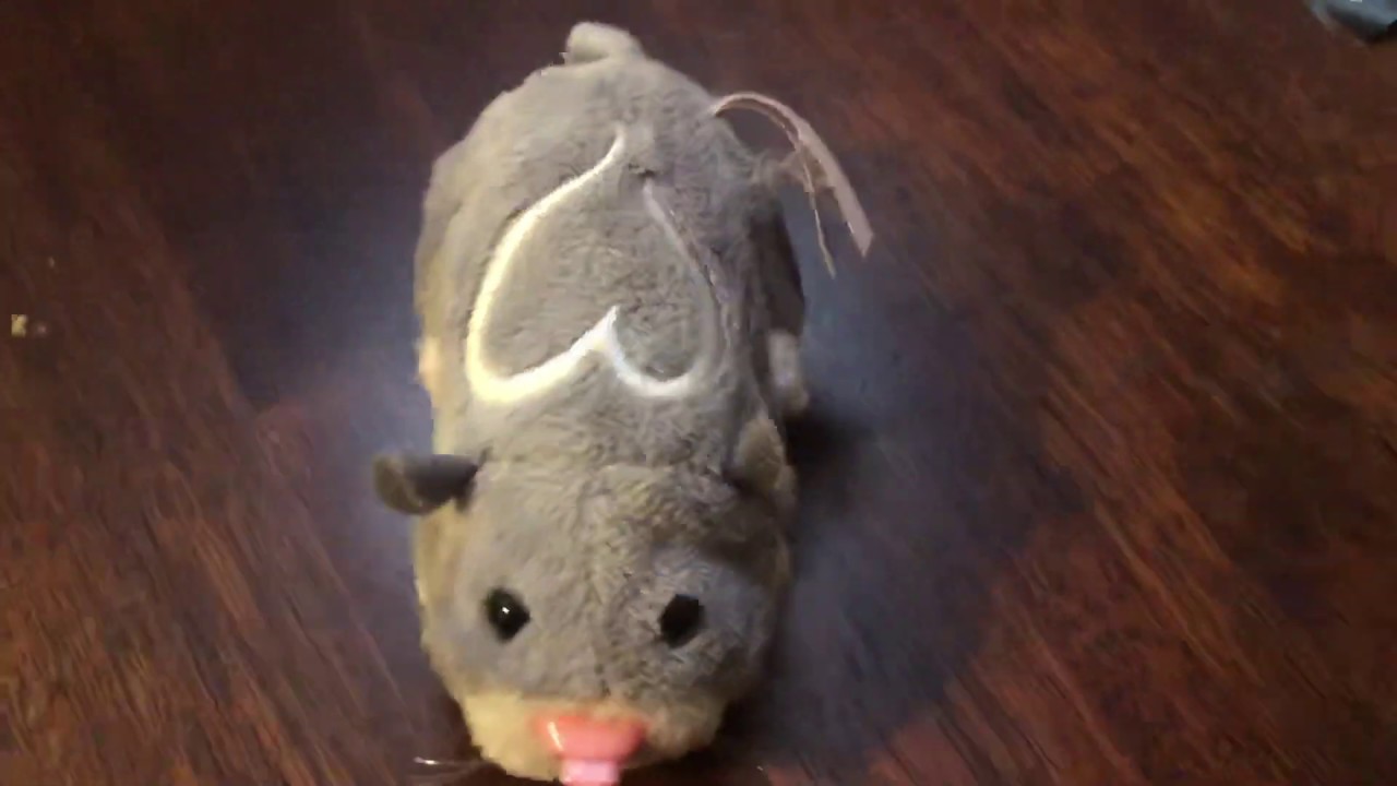 Go Go Pets Review On (Rare) Num Nums - YouTube