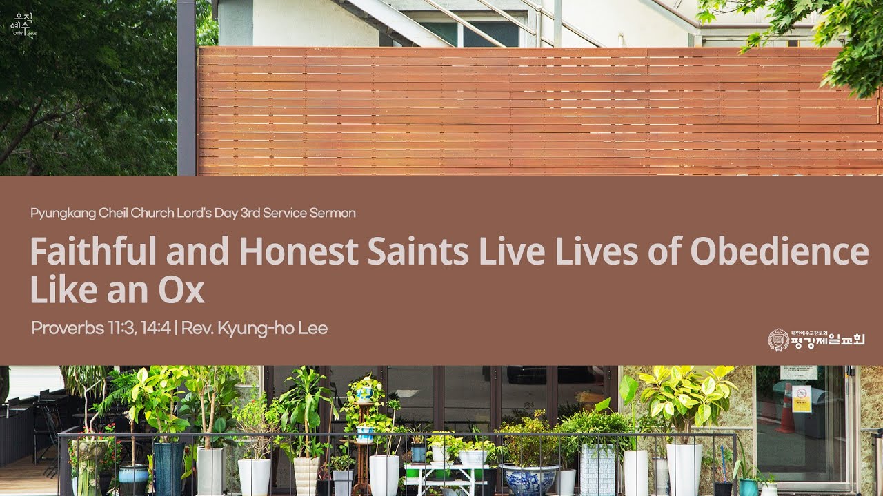 Faithful and Honest Saints Live Lives of Obedience Like an Ox [May 19 ...