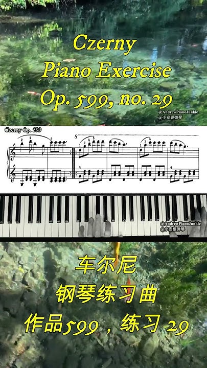 Exercise No. 29, Czerny Op. 599 Practical Exercises for Beginners | 练习 29，车尔尼 作品599《钢琴初步教程 ...