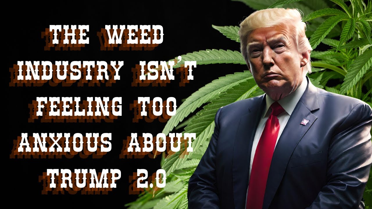 The Weed Industry Isn’t Feeling Too Anxious About Trump 2.0 - YouTube
