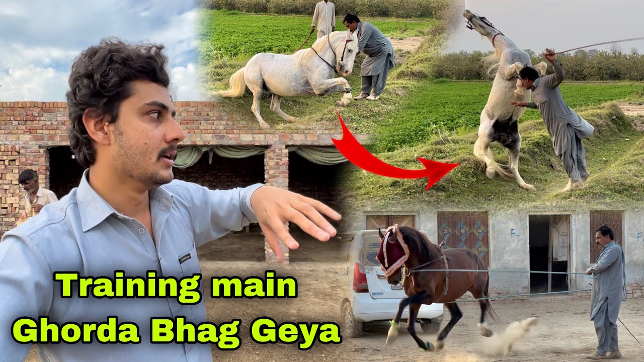 Shery Punjab Dance Training K Duran Bhag Geya 😨 || Ghorda Gussay Main ...