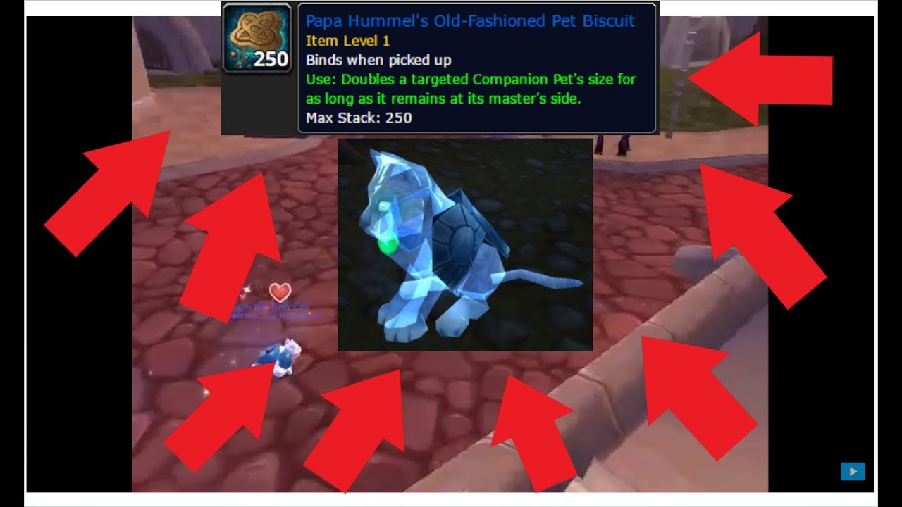 Wow wotlk 🎁 Unboxing🎁 🔝Zoom Pet🔝 -( 🐯Spectral tiger cub 🐯) - YouTube