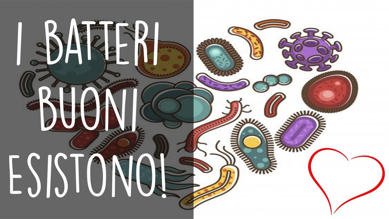 Batteri Buoni o Batteri Cattivi? - YouTube