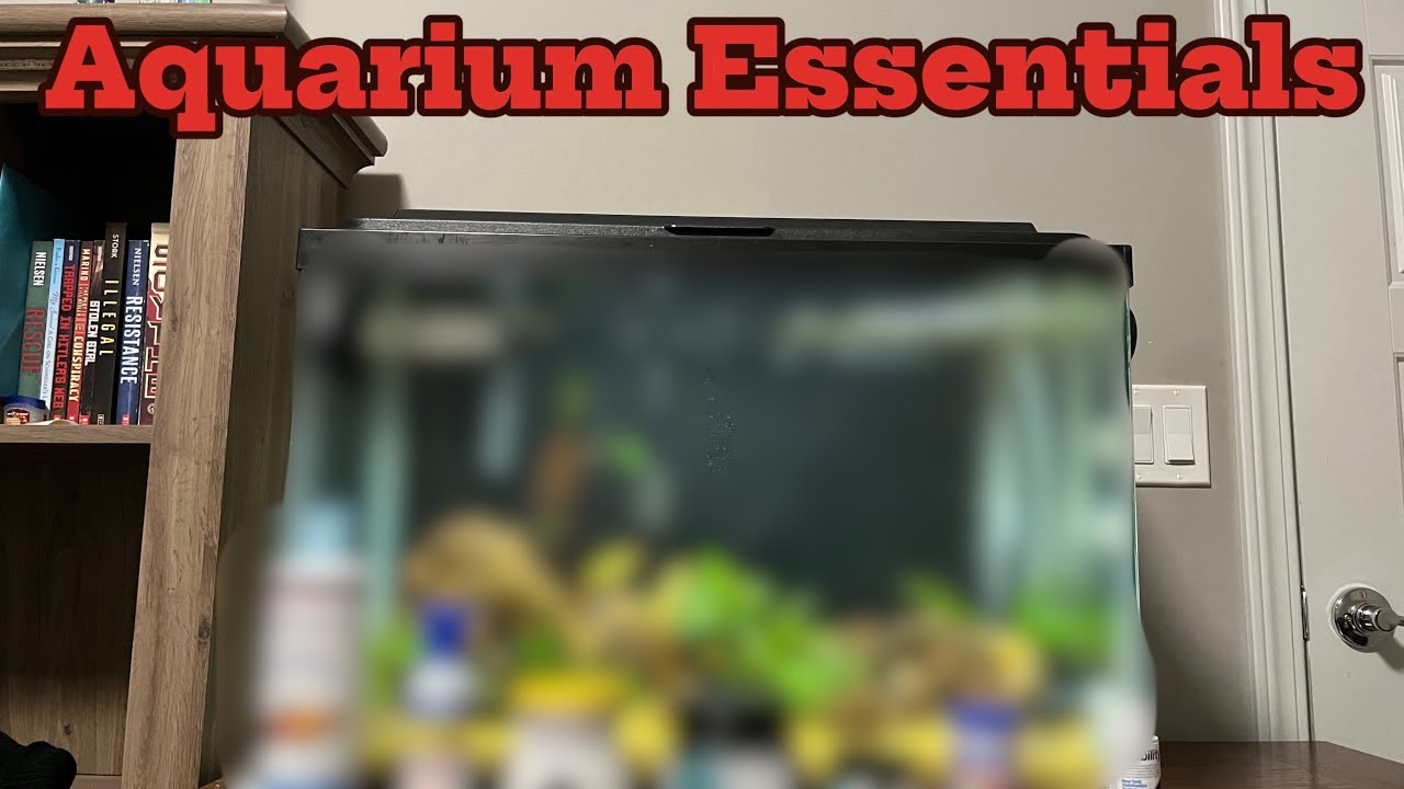Beginners Guide to Aquarium Essentials🐟🐠🐡 - YouTube