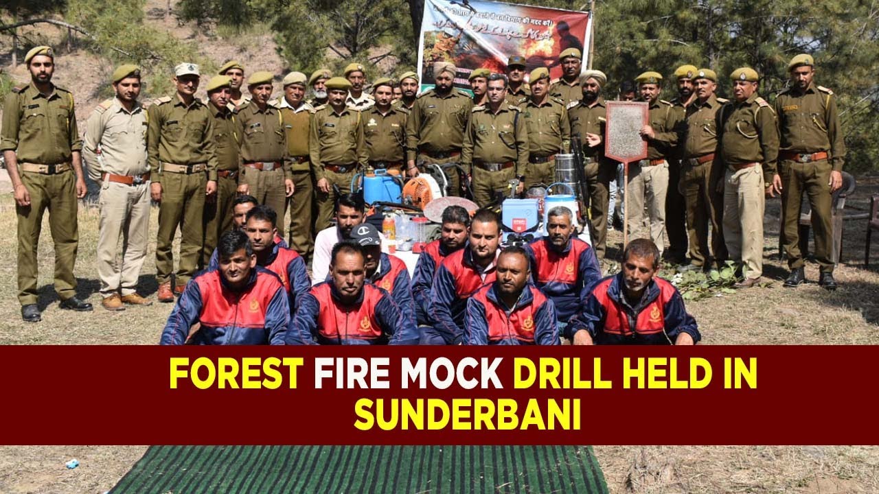 Forest fire mock drill held in Sunderbani - YouTube