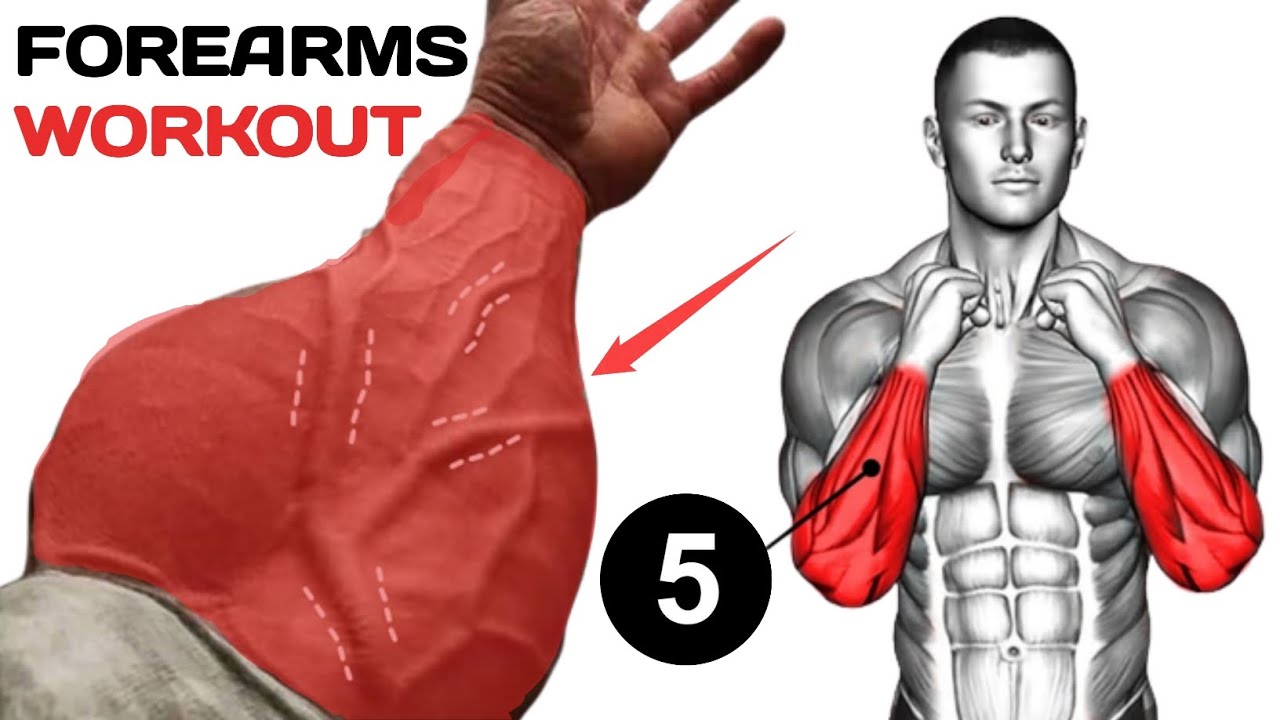 5 Best Exercise For Forearms in gym(fastest) - YouTube