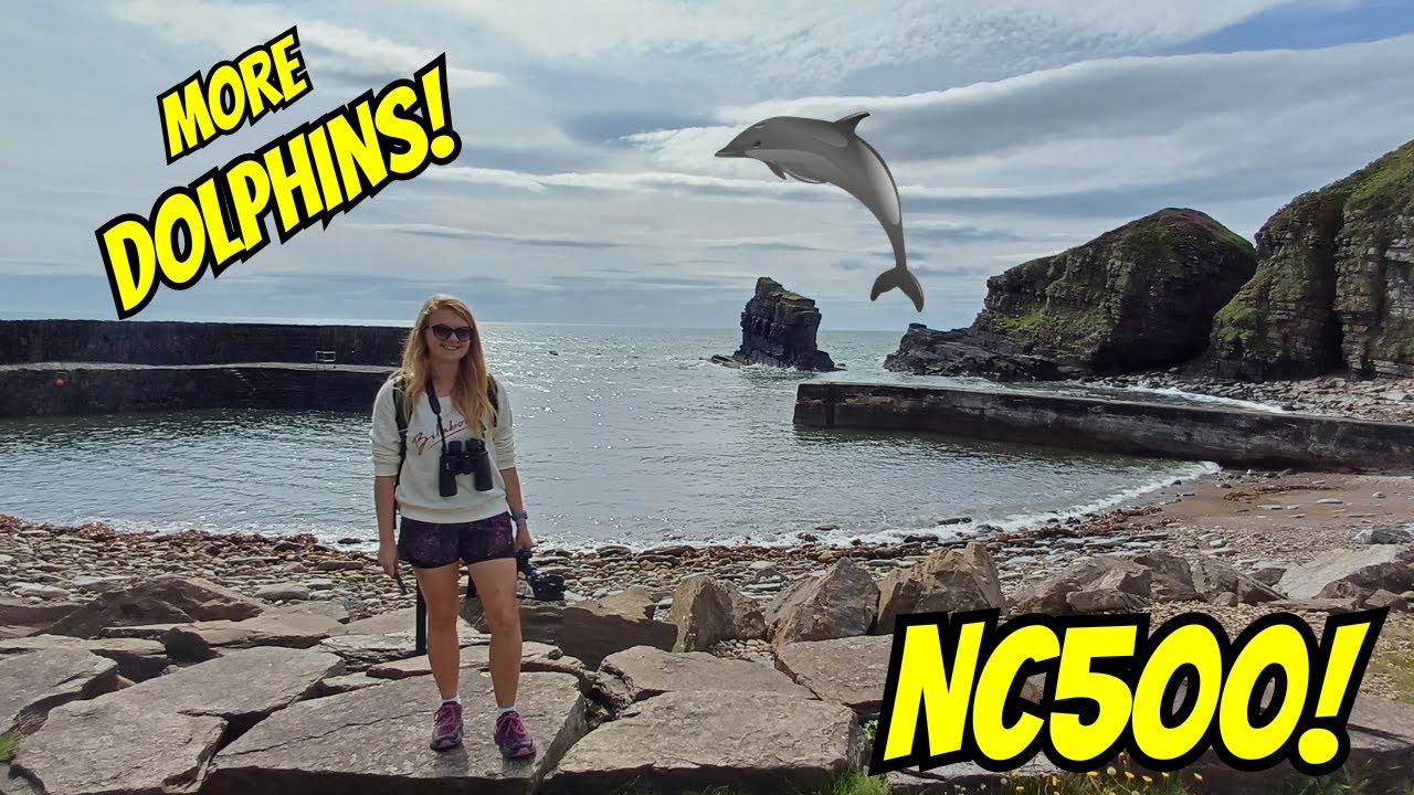 More DOLPHINS along the NC500! - YouTube