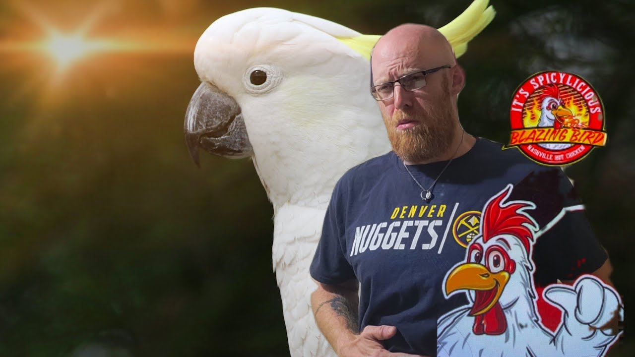 Blazing Bird Hot Hot Chicken Strips - YouTube