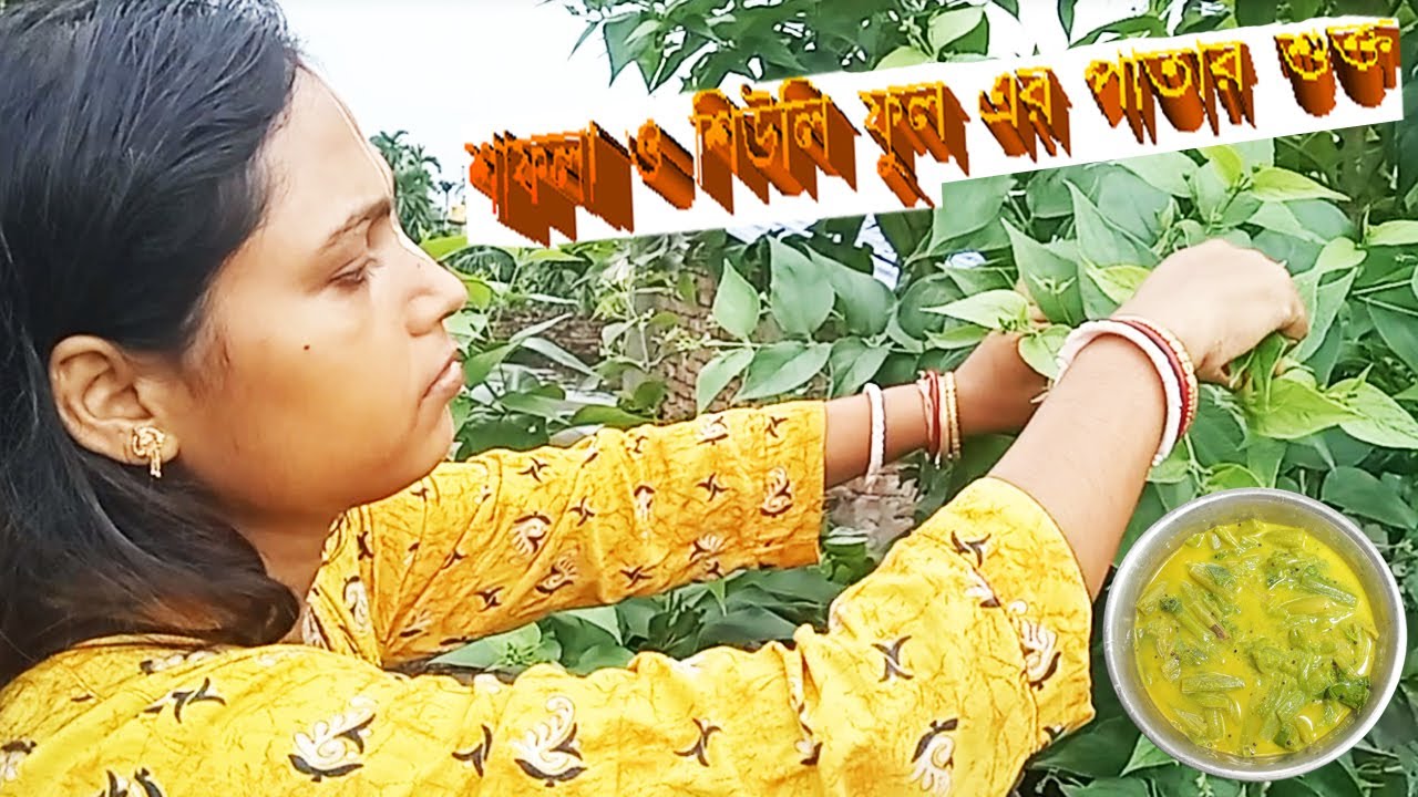 শাফলা ও শিউলি ফুলের পাতা দিয়ে শুক্ত শুকতা // SHAFLA AND SHIULI FLOWERS ...