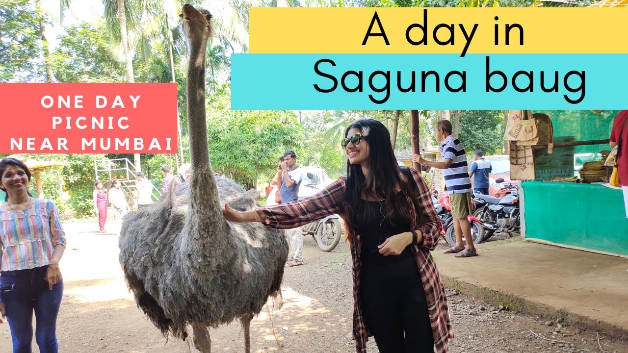 A day in Saguna baug- Agro tourism|One day picnic near Mumbai|Neral ...