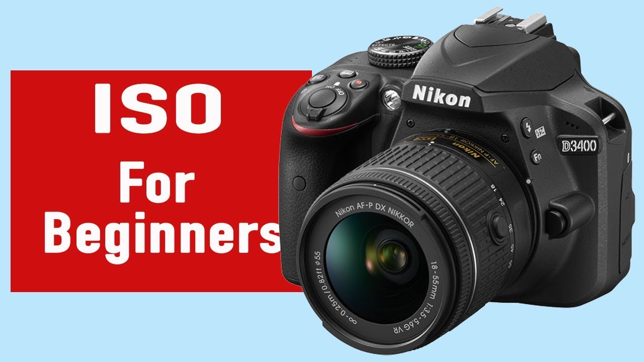 ISO basics for beginners - photography tutorials and tips - YouTube