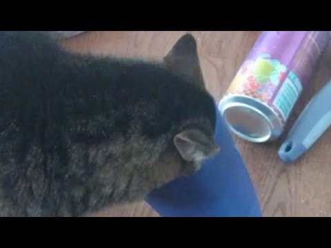 run run preview | song by @CK9C - YouTube