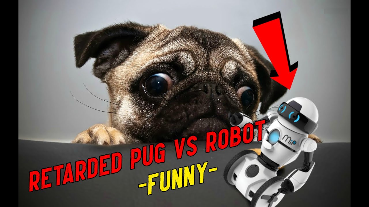 Retarded Pugs