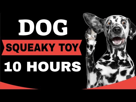 Squeaky Toy Dog Toy Sound Effect For Dogs | 10 Hour - YouTube
