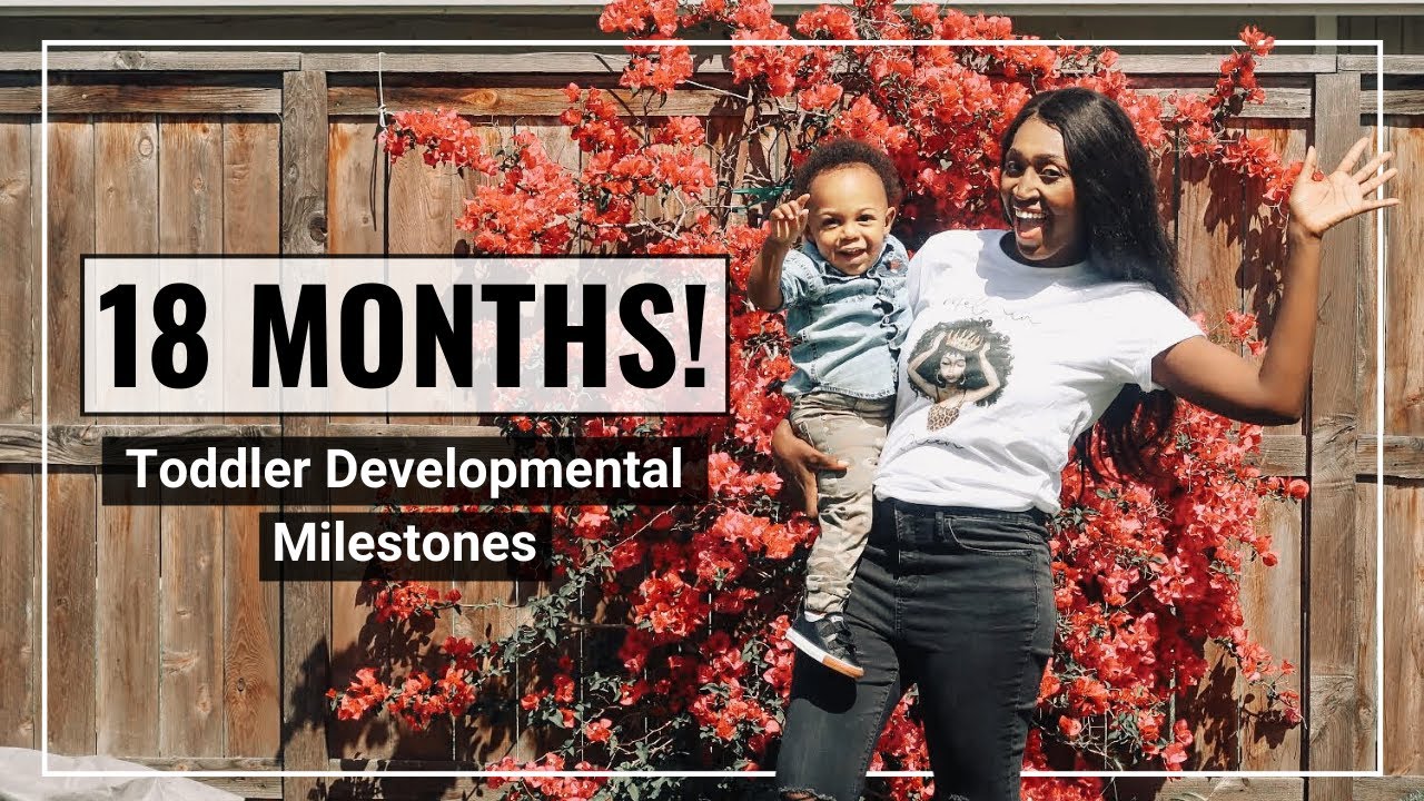 Developmental Milestones For Toddlers [18 MONTH BABY UPDATE] - YouTube