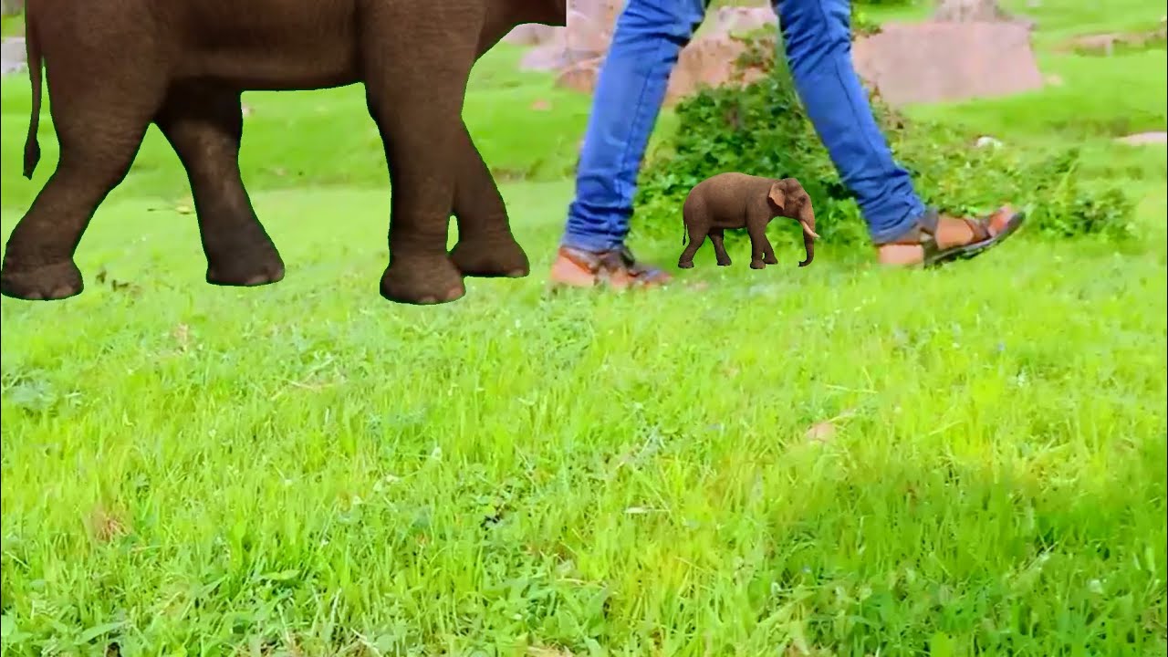 Temple run blazing sands and: Lost jugale in real life - YouTube