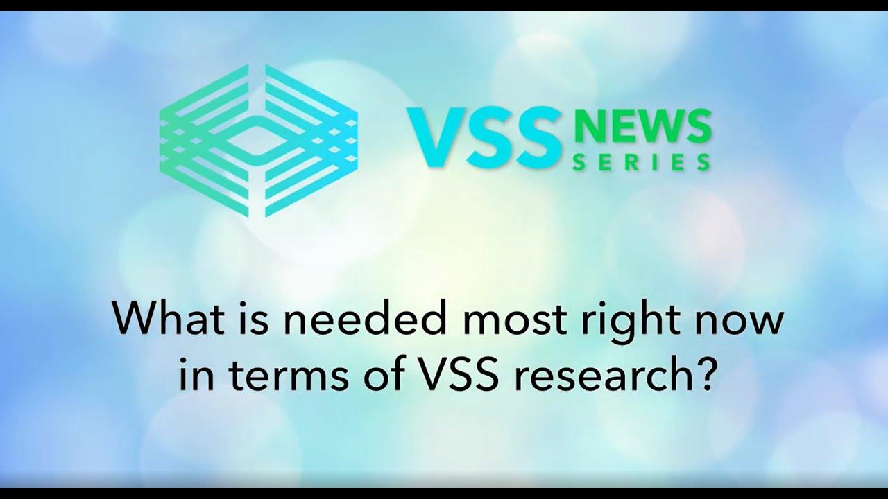 What is needed most in terms of VSS research right now? - YouTube