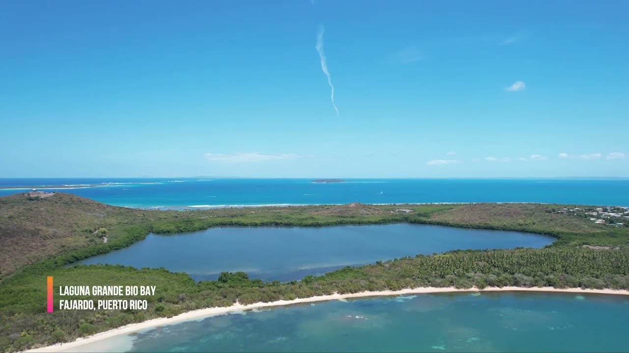 Bioluminescent Bay Puerto Rico During Day