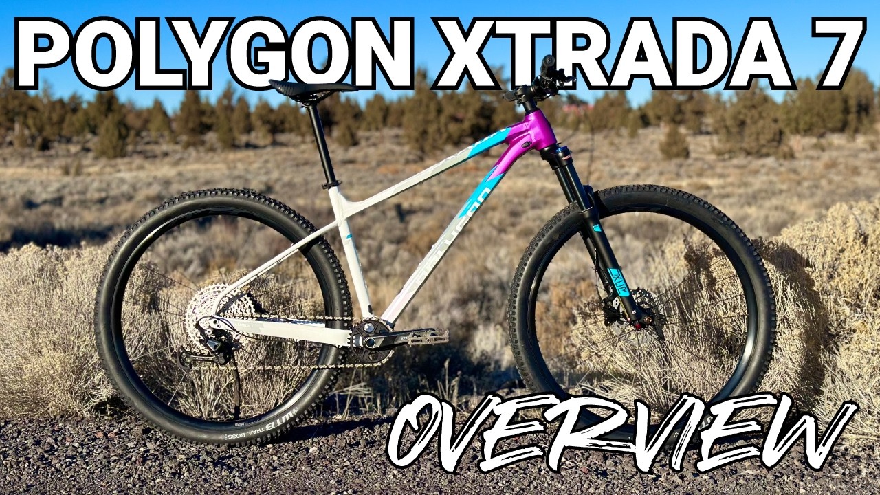 Why the Polygon Xtrada 7 is the Best MTB for New Riders! - YouTube