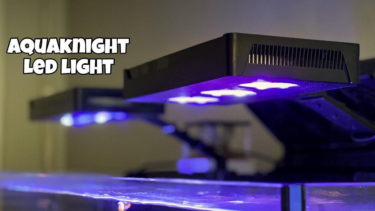 $70 Led Light that Grows Coral? *review* - YouTube