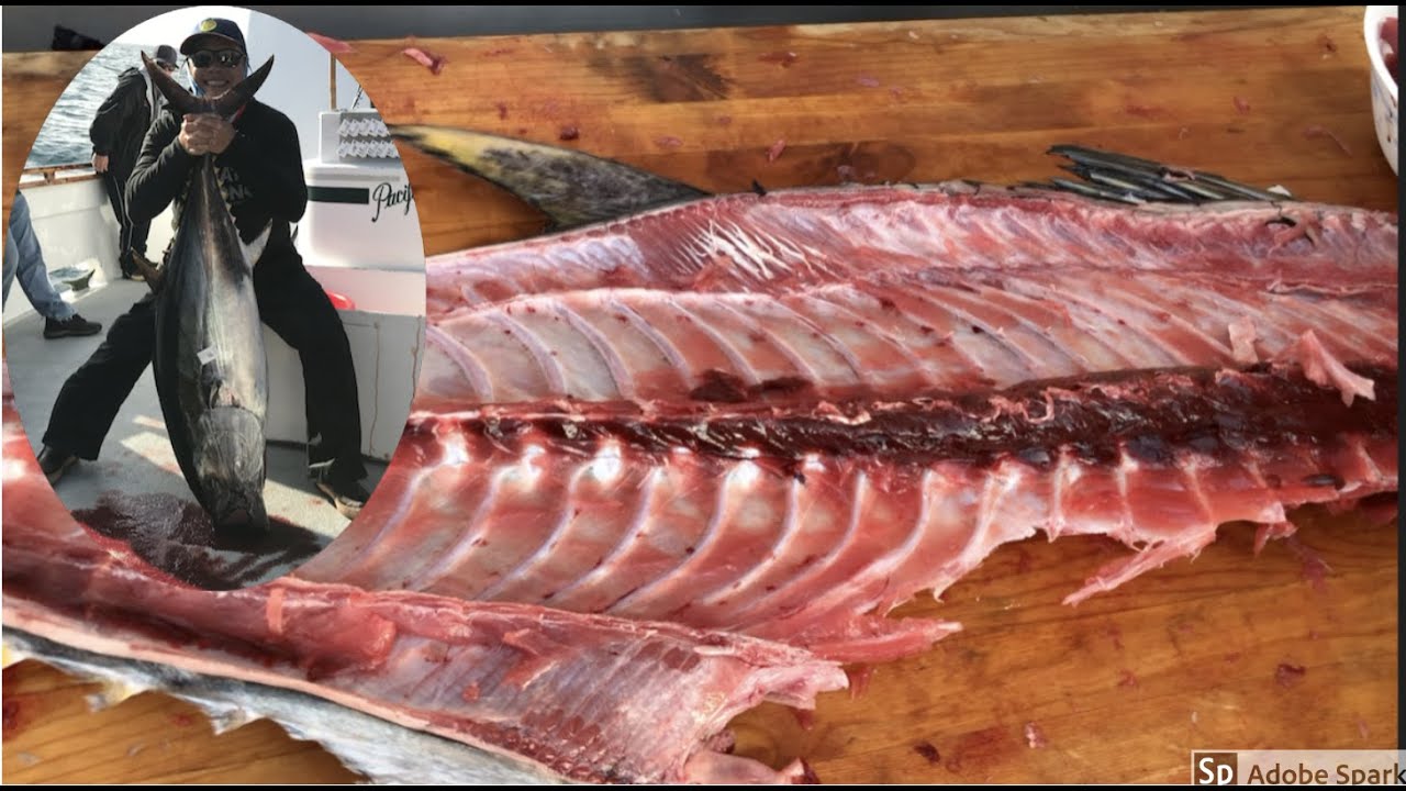CATCHING N HOW TO CLEAN BIG BLUEFIN TUNA with little waste! - YouTube