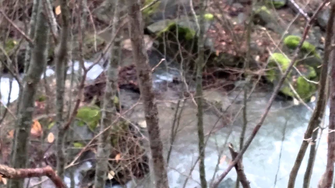 Nabujala Čečevska reka - YouTube