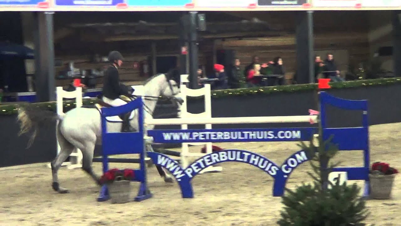clyde(9yr old clearway stallion) 1.40m csi 2* roosendaal - YouTube